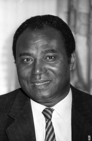 Herbert Murerwa Quotes