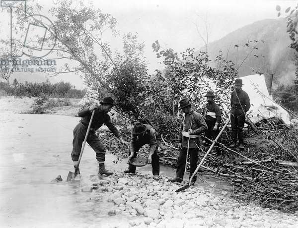 License artwork by Frank La Roche (1853-1936)