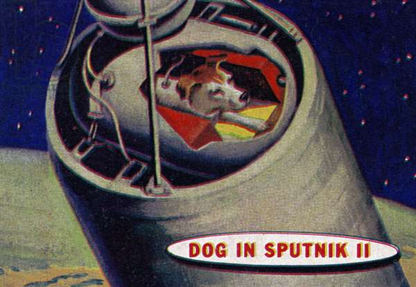 Sputnik Dog