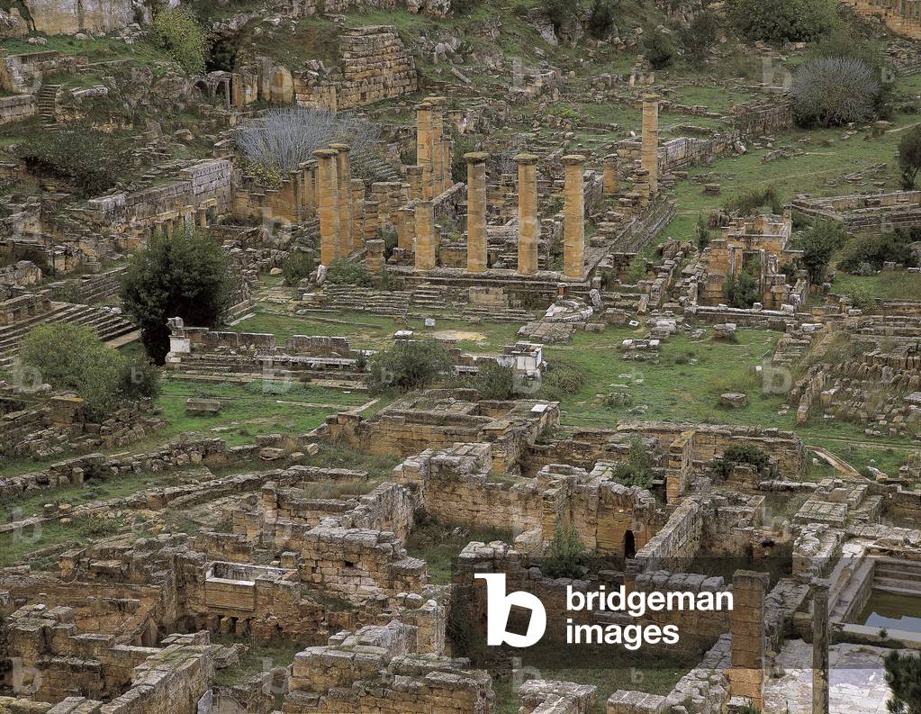 Image of The sanctuary of Apollo, the columns of the temple, at