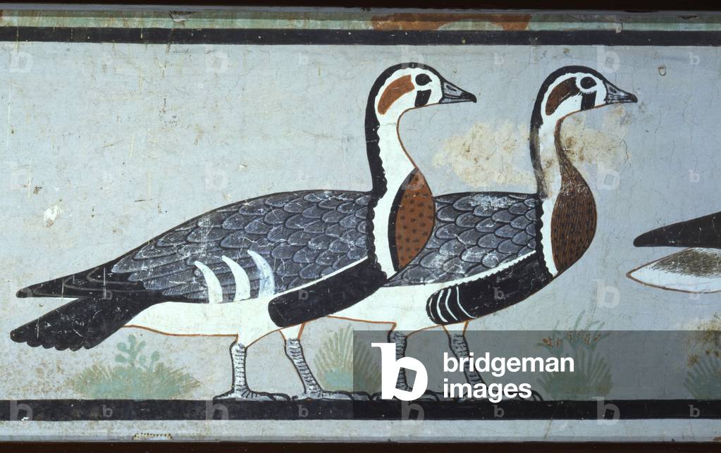 Image of Meidoum Geese (details) - Museum of Egypt, Cairo by Egyptian ...