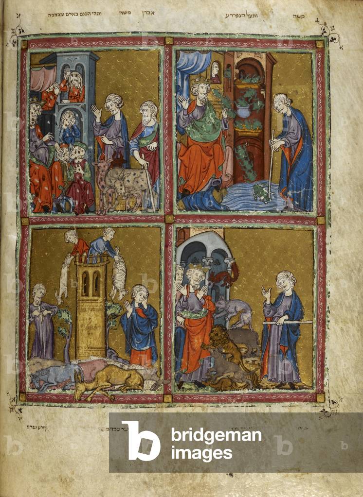 Image of Add. 14761, fol.26 Havdalah ceremony, from 'Barcelona Haggadah ...