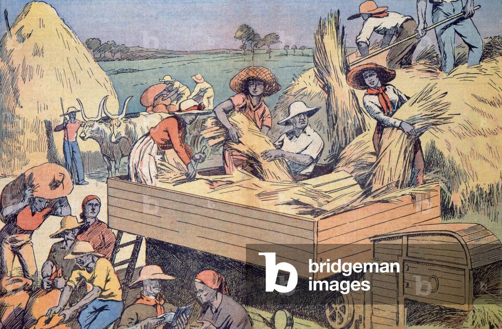 Image of Mussolini helping with the wheat harvest, from 'Le Pelerin ...