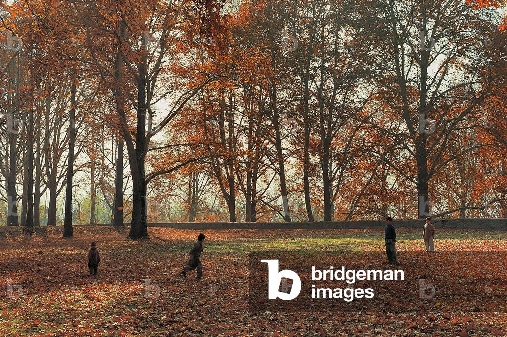 Image of Children playing under huge Chenar trees in autumn, Nishat Bagh,