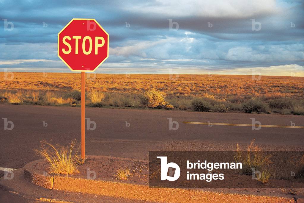Image of Stop sign at road (photo)