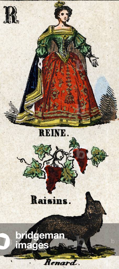 Image of Letter R as queen, grapes and fox. Small encyclopedic alphabet ...