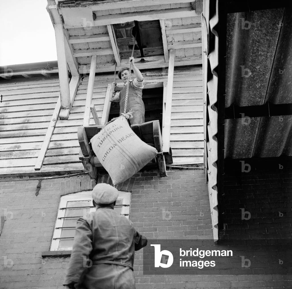 Image of Two men lifting a sack of cocoa beans with a by Ashley, Hallam ...
