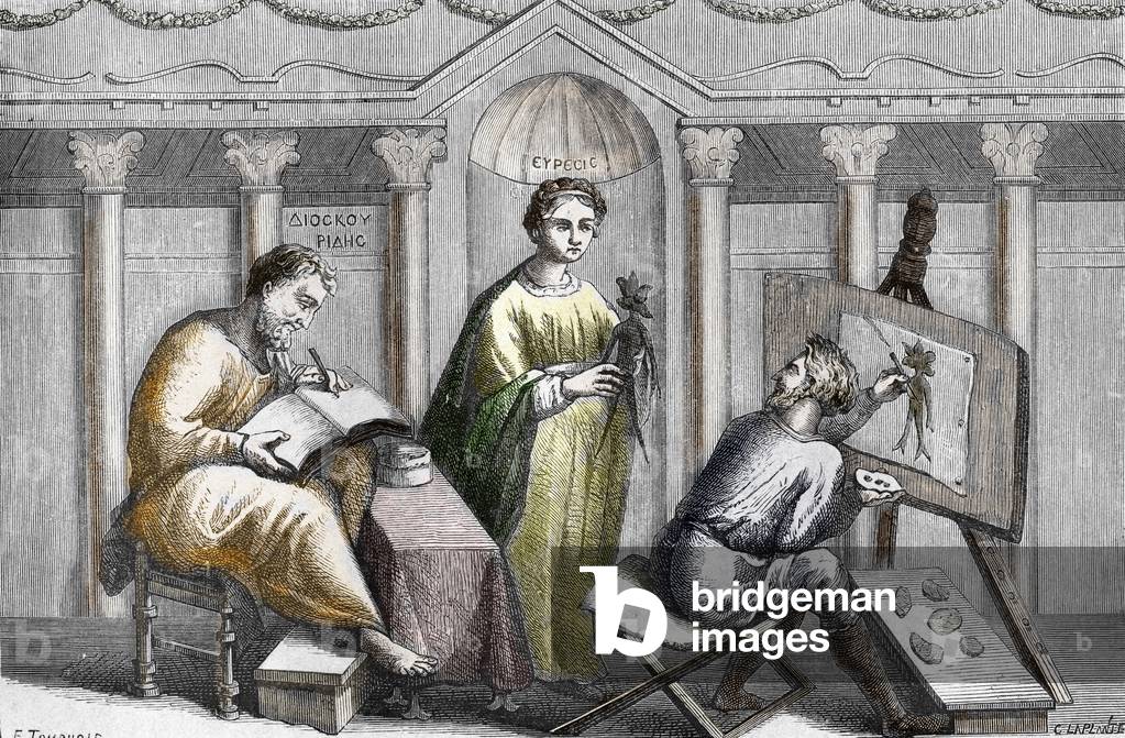 Image of Representation of the Greek doctor and botanist Pedanius ...