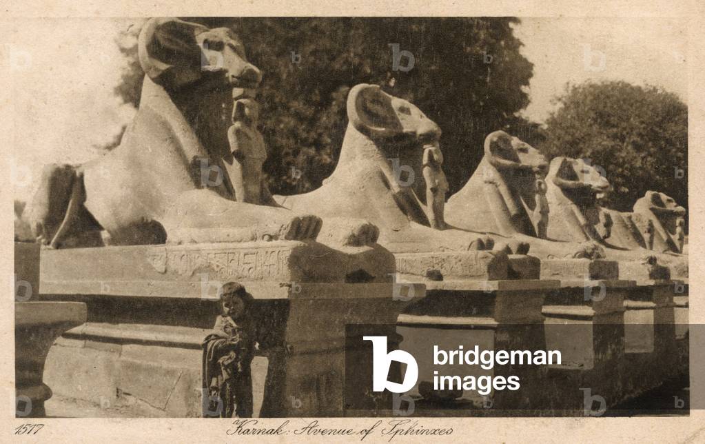 Image of Luxor, Karnak, Egypt - Avenue of the ram-headed Sphinxes by ...