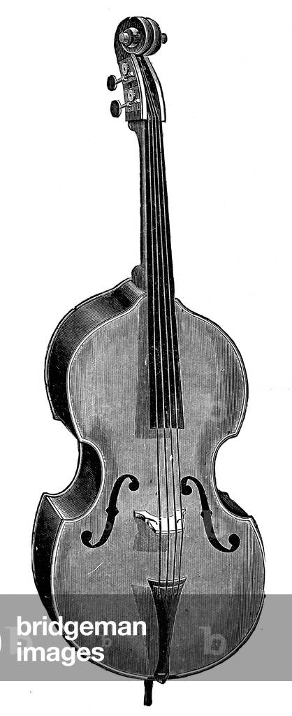 Upright Bass Drawing