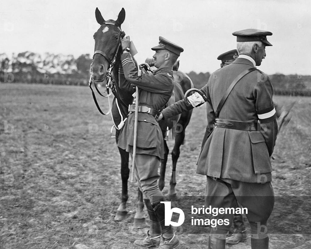Image of New Zealand Division horse show, Western Front, WW1