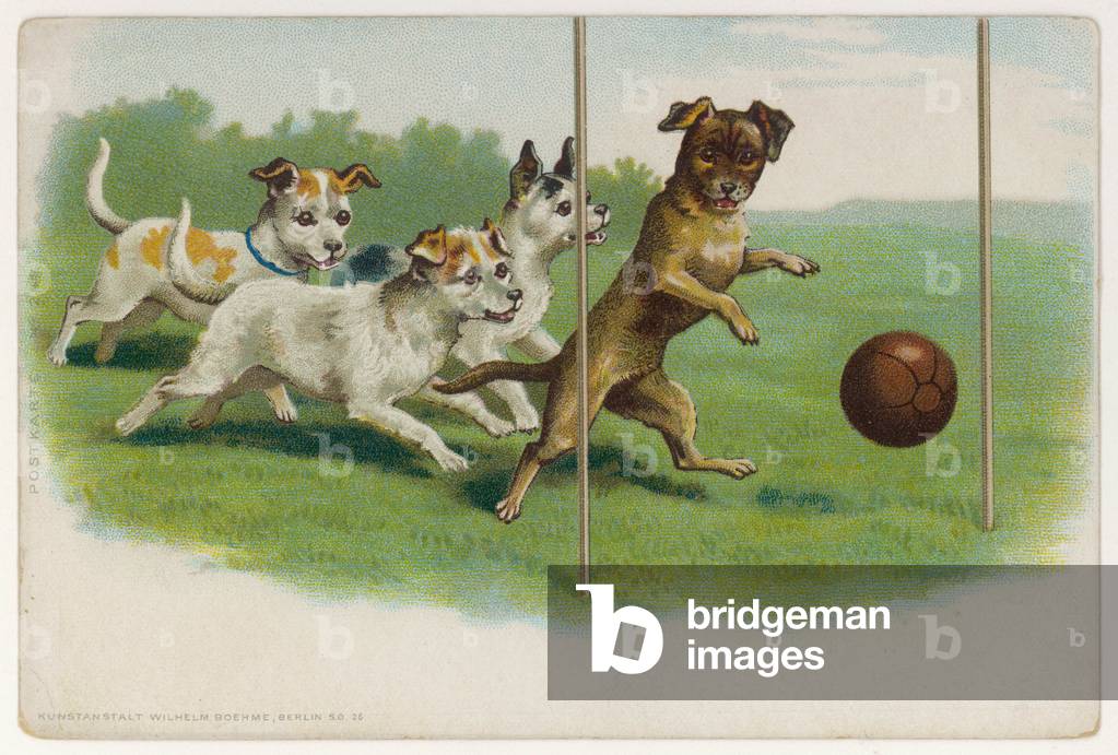 Dogs Playing Football