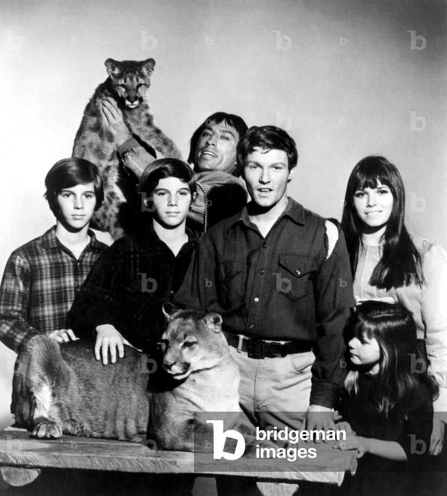 Tammy Locke The Monroes