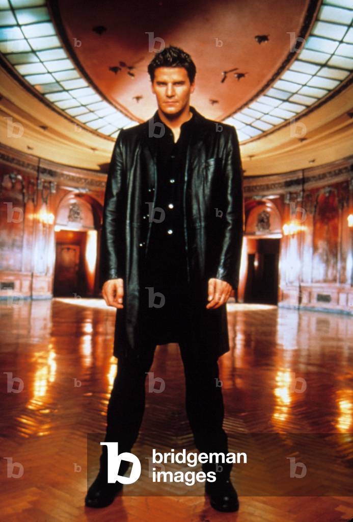 David Boreanaz On Angel