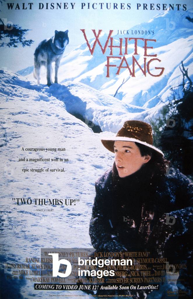 Ethan Hawke White Fang