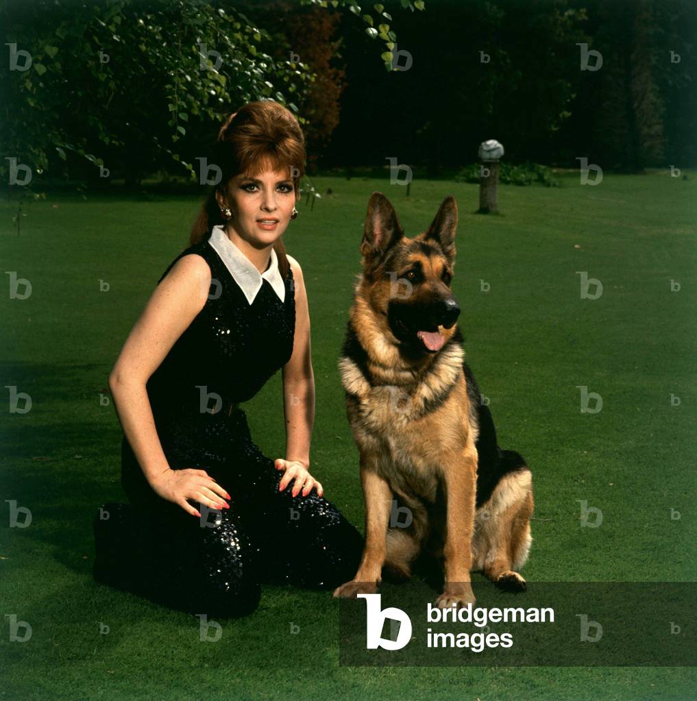Image of Gina LOLLOBRIGIDA avec son chien à Rome en 1968.