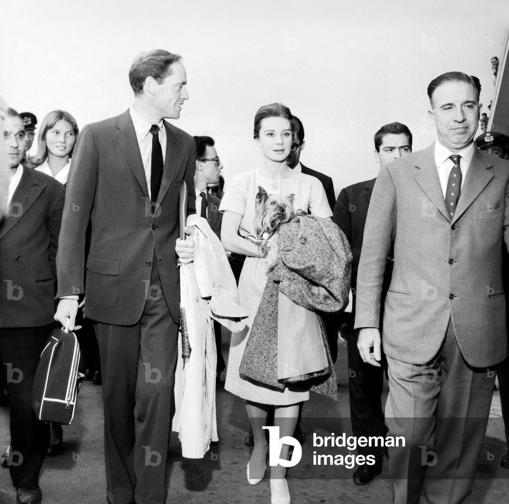 Image of Audrey Hepburn with her dog in her arms and her