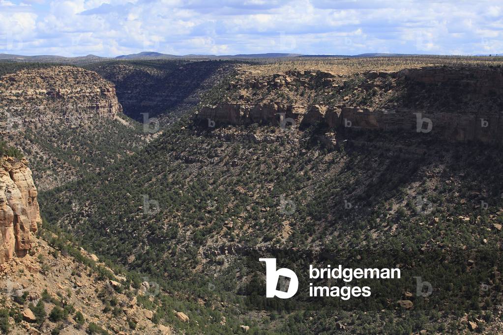 Image of Canyons forms by water erosion - Mesa Verde National Park,