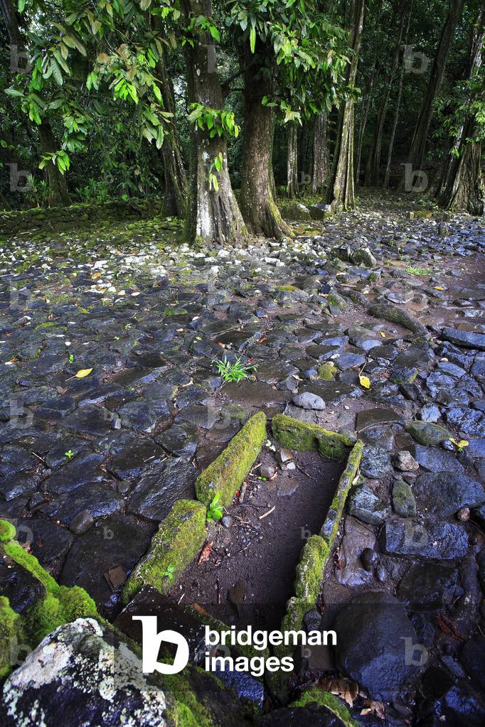Image of Marae Titiroa a Moorea in a mape drill/Moorea/French Polynesia