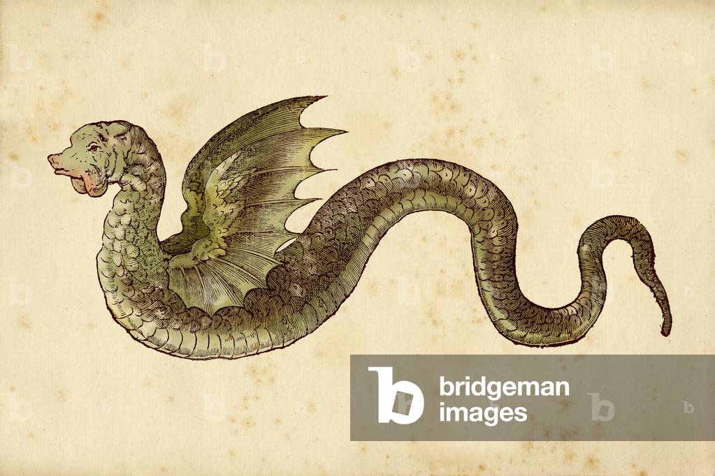 Image of Representation of a dragon wing without legs. Plank from ...