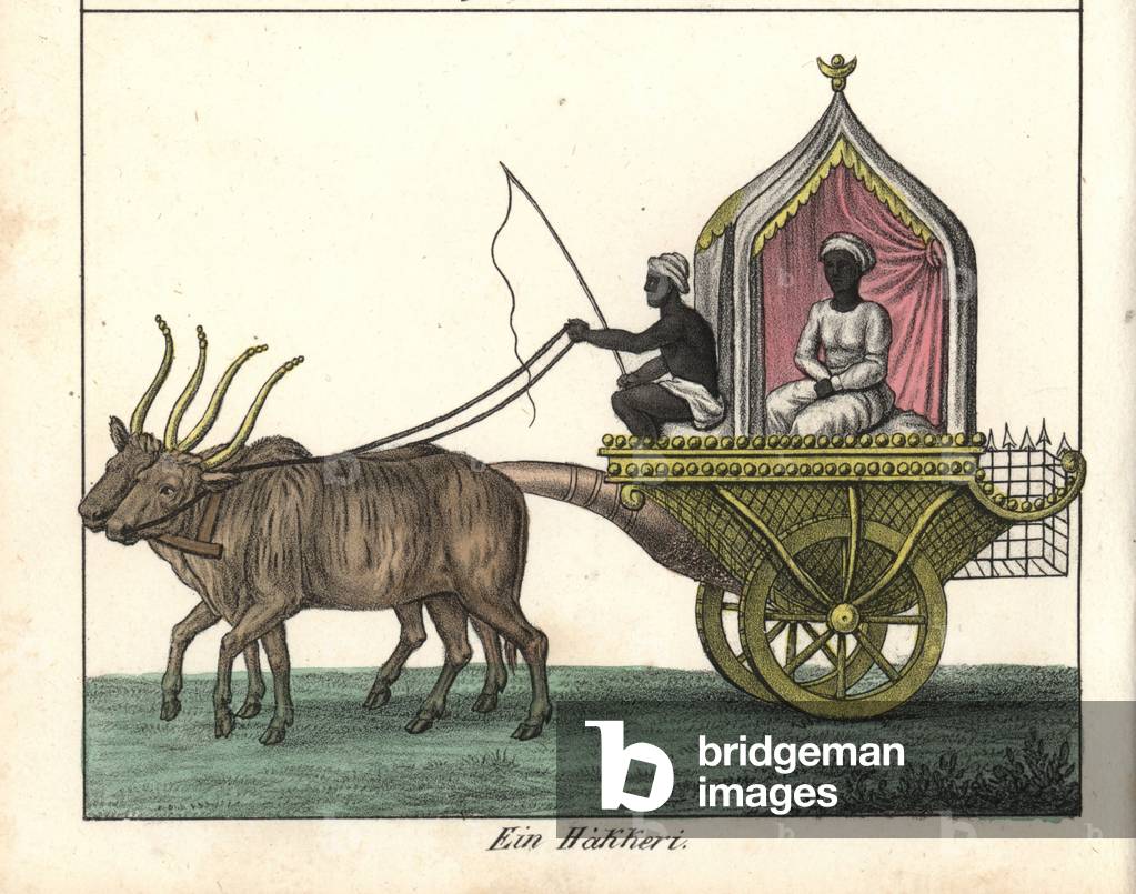 Image of Indian tank, fire by oxen. Lithography for the book: