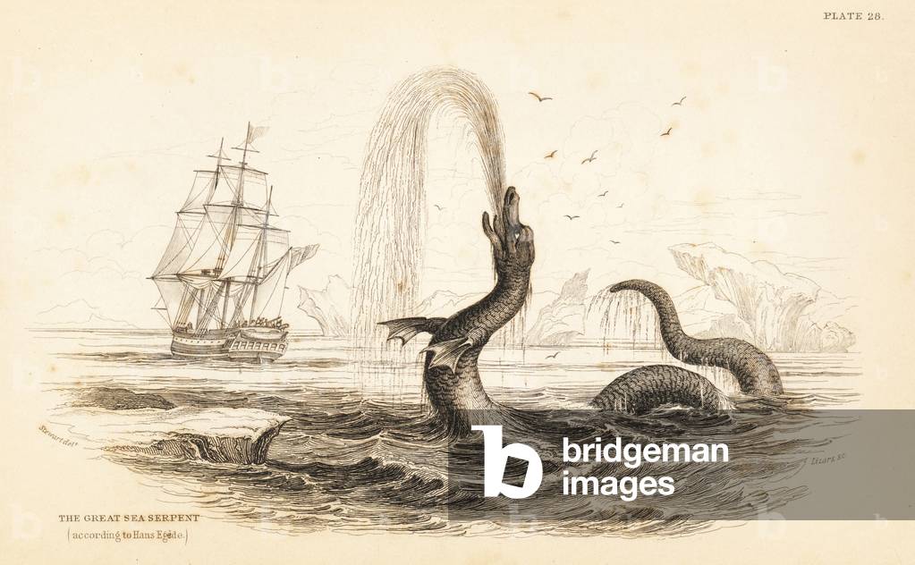 Image of Great sea serpent seen off the coast of Greenland in