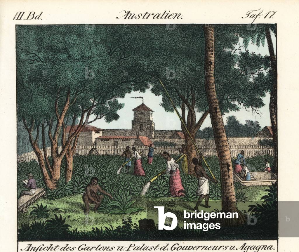 Image of The Chamarro natives of the island of Guam (Mariana Islands,