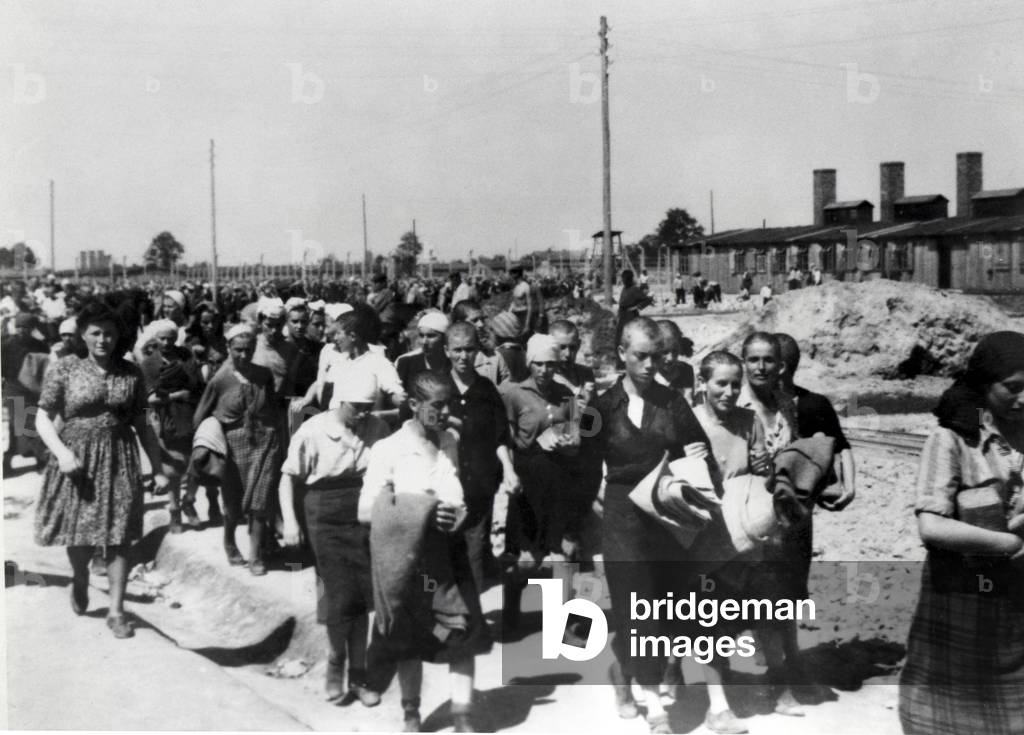 Image of Hungarian women who have been selected to work at Auschwitz ...