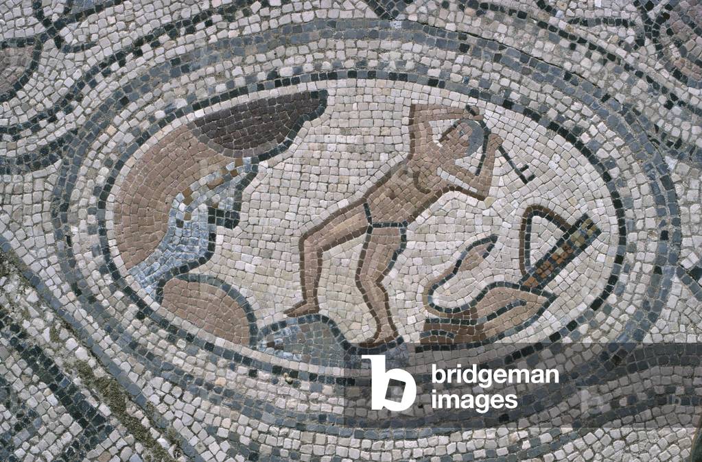 Image of Hercules and the Augean Stables, from the floor of 'The by ...