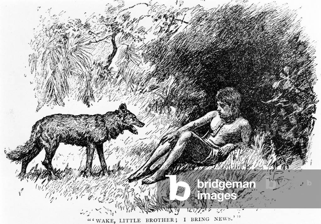 Mowgli and a wolf. Rudyard Kipling. “The Jungle Book” New York 1899 ill ...