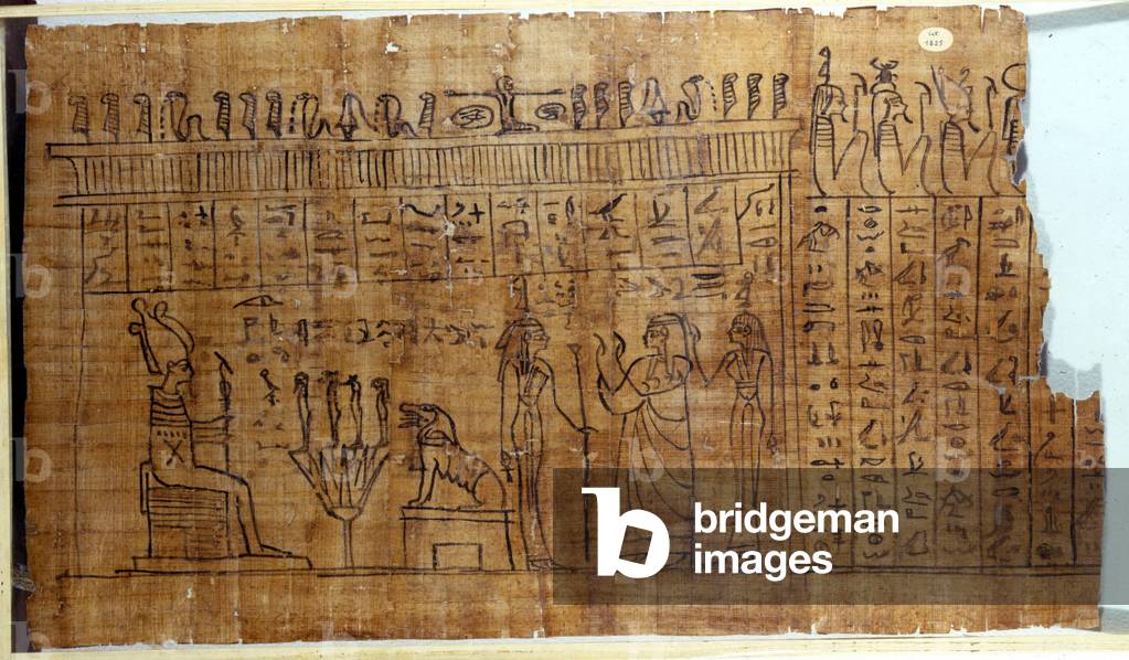 Hieroglyphics On Papyrus