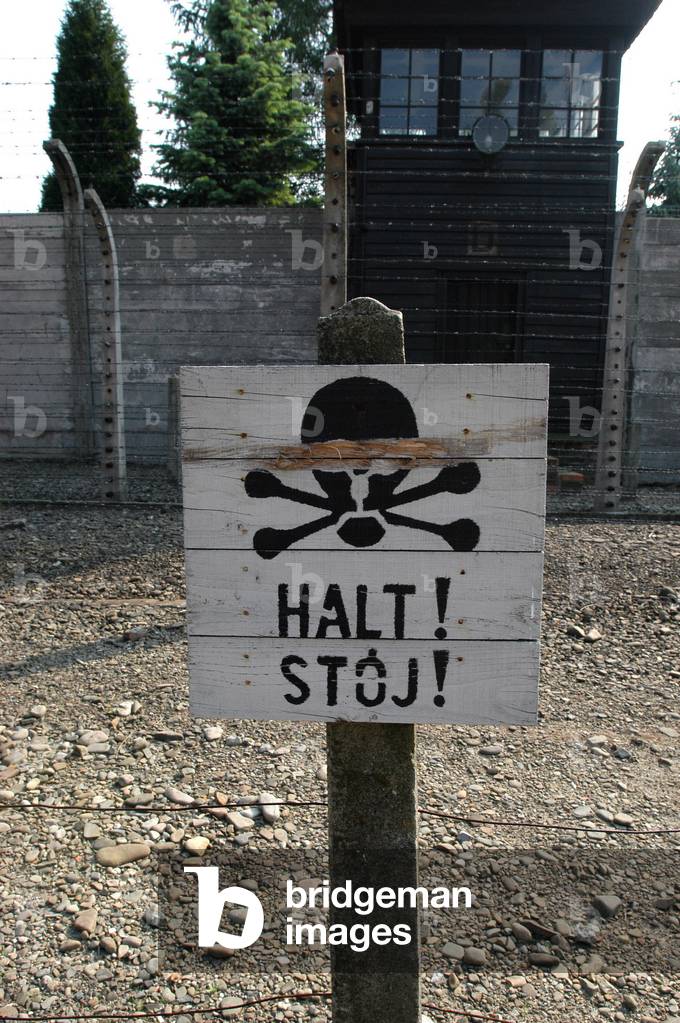 Image of Auschwitz concentration camp Auschwitz Pologne