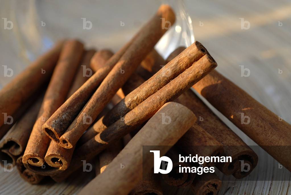 Image of Cinnamomum zeylanicum/Ceylon Cinnamon/Cinnamon