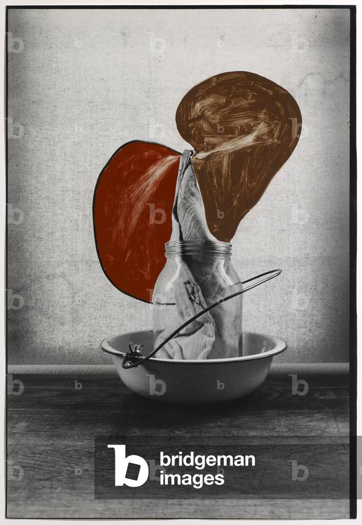 David Ireland(1930-2009)