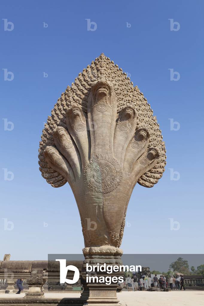 Image of Naga on the western causeway, Angkor Wat, Angkor, Siem Reap,