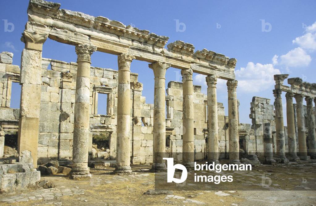 Image of Roman row of columns, colonnades, Apamea (Apamee), Syria ...