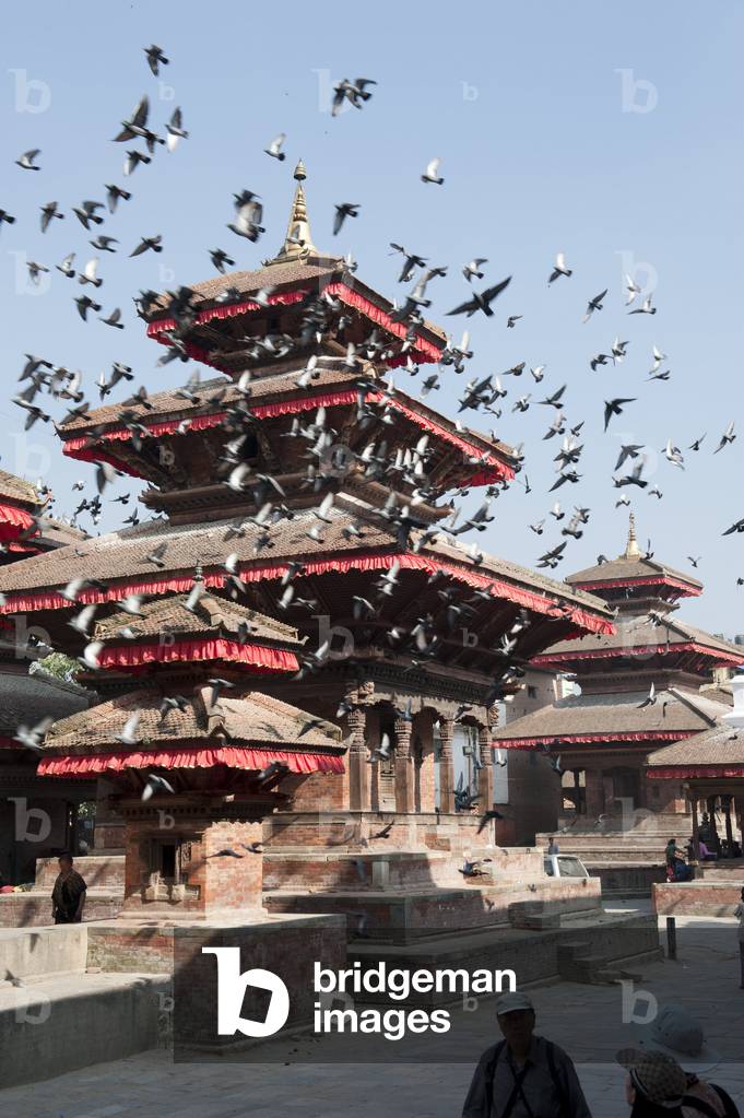 Image of Hinduism; many pigeons flying in front of a Hindu temple;