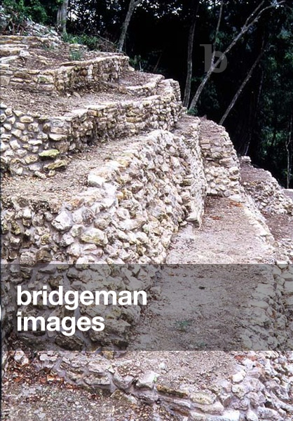 Image of Partial view of the stepped terraces of the 'Acropolis I'