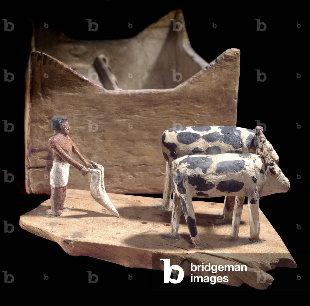 Image of Egyptian antiquite: plowing scene and attic a ble, 2000 BC by ...
