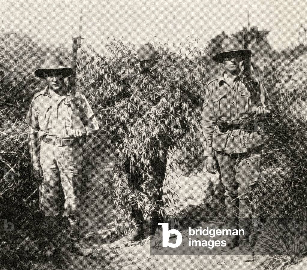 Image of A Turkish sniper, disguised as a bush, in custody after by ...