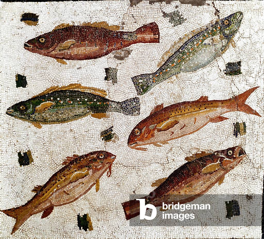 Image of Roman art: mosaic representing fish. 1st century BC. Rome ...