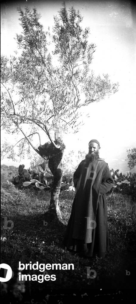 Image of Algeria: Muslim religious poses next to an olive tree, 1920