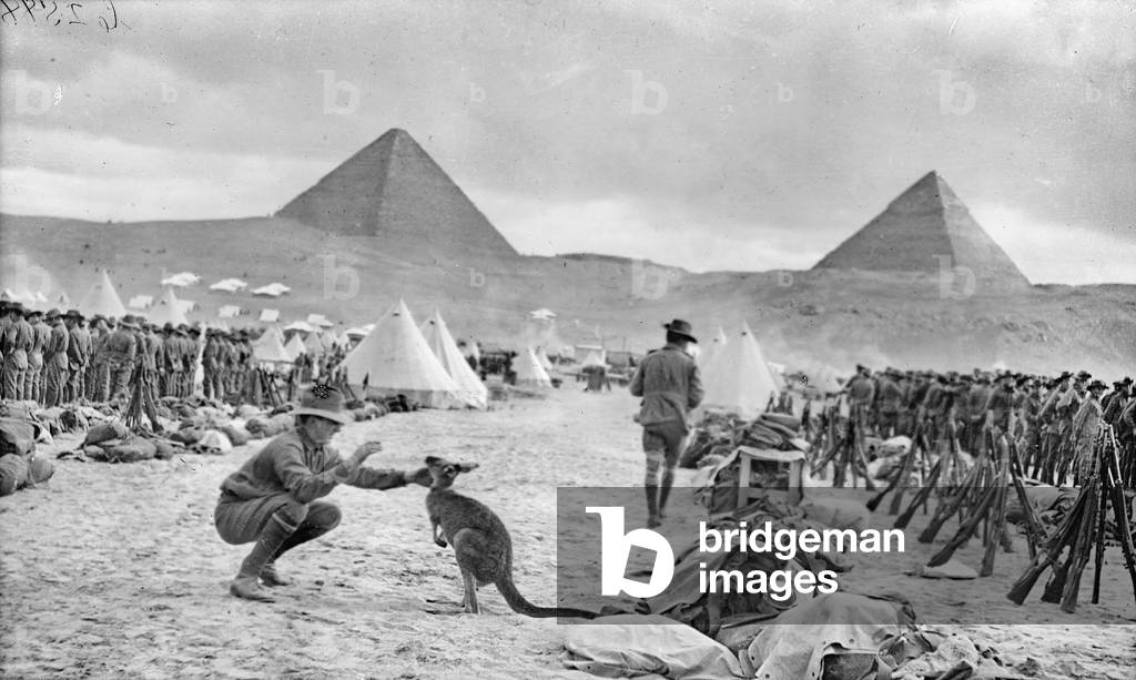 Image of An Australian Pastoral, Ramornie Station, on the Clarence ...