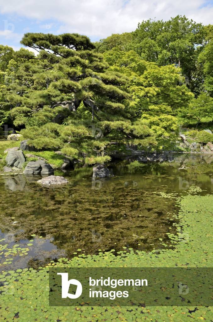 Image of Higashi gyoen (East Garden of Imperial Palace) - Tokyo (Japan)