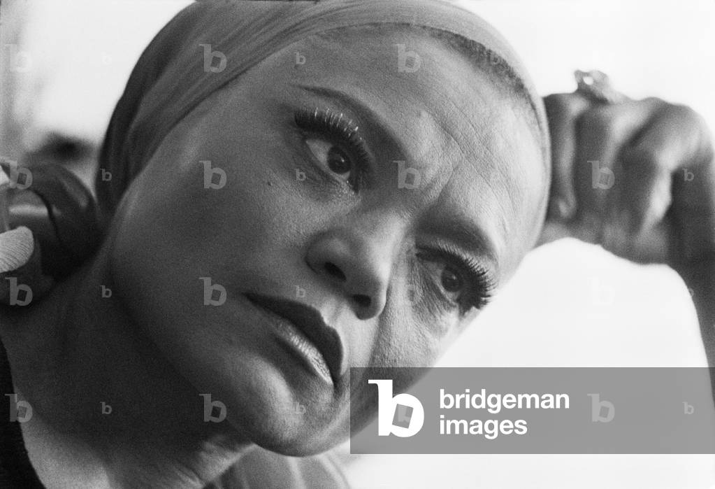 Tania Stern's Instagram, Twitter & Facebook on IDCrawl