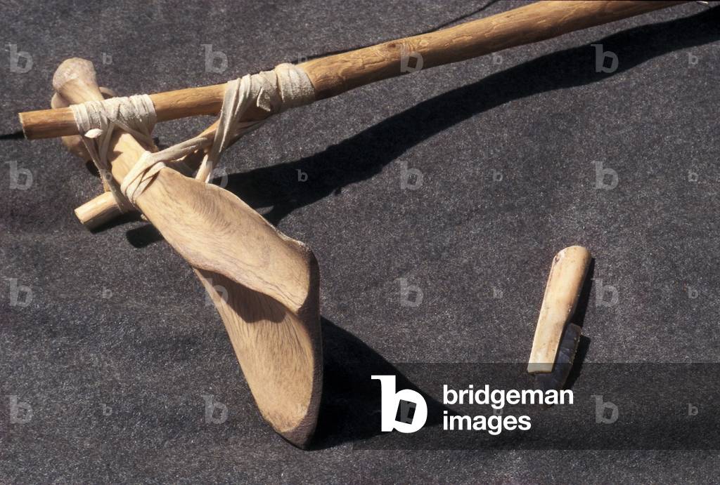Image of Replica Native American hoe made of a buffalo shoulder-blade, a