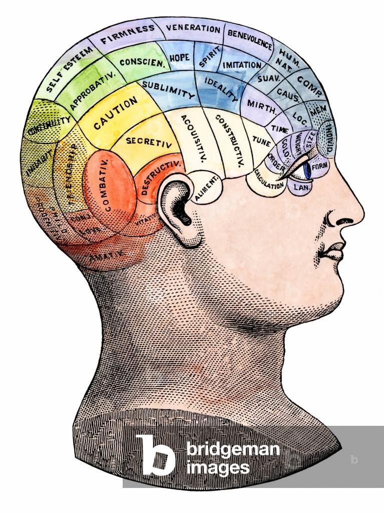 Funzioni Della Mappa Del Cervello L'HARDWARE DELL'UOMO: IL CERVELLO