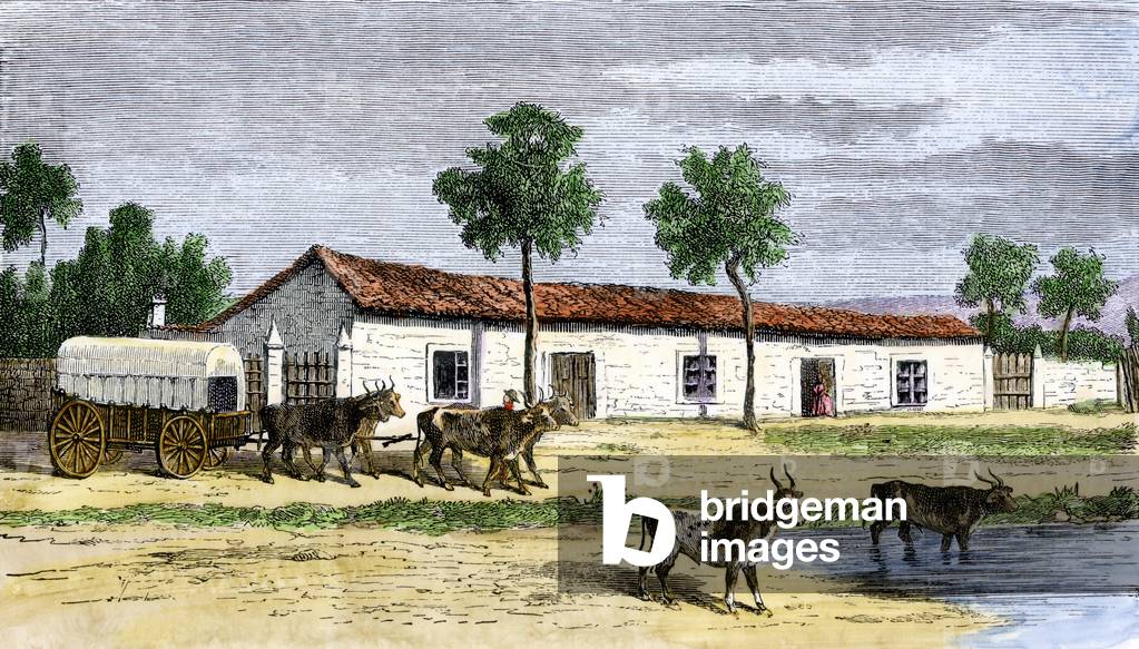 Image of Boer farm in South Africa, mid 19th century. Colouring engraving