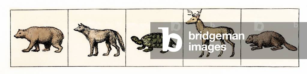 Image of History of Indigenous Peoples: Totems from various New York tribes