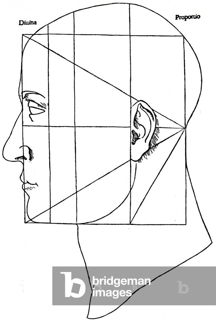 Face Human Head Drawing